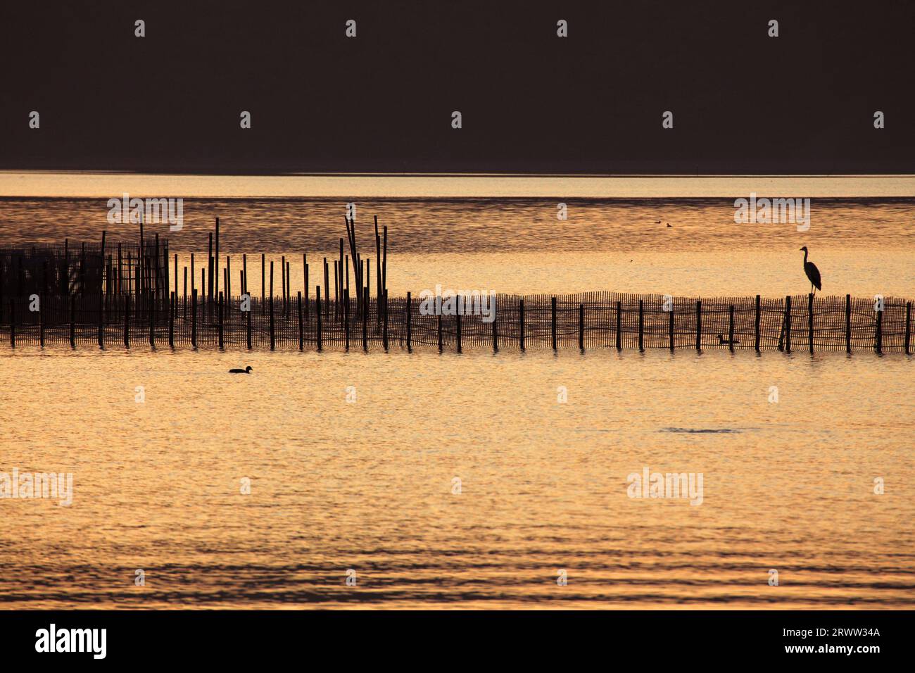 Sunset at biwa lake hi-res stock photography and images - Alamy