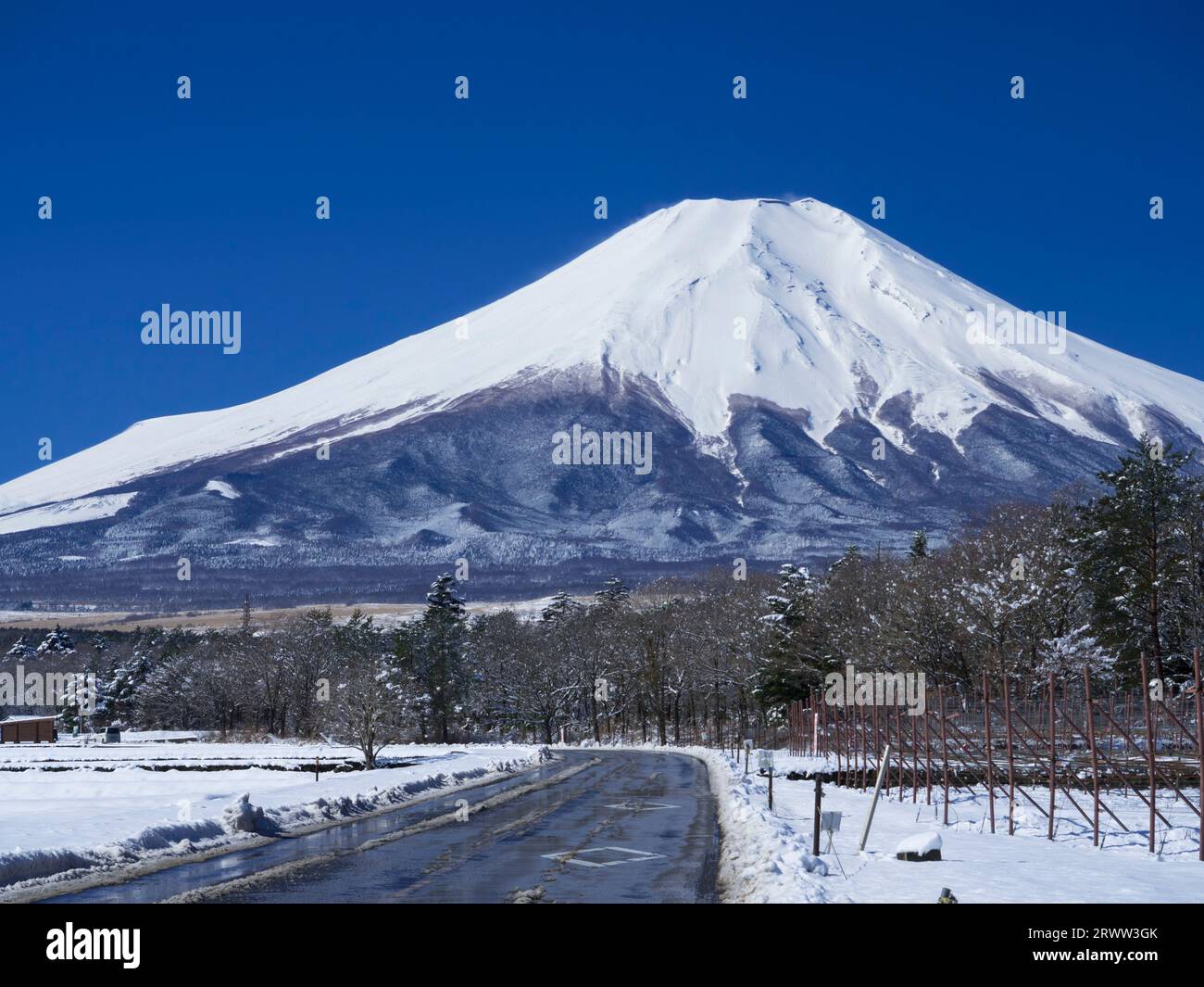 Fuji and Road in Winter Stock Photo - Alamy