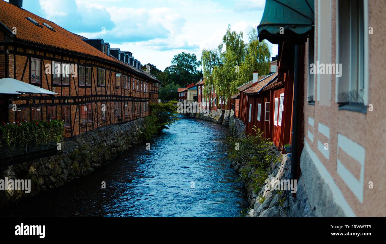 Swedish nature and new life Stock Photo - Alamy