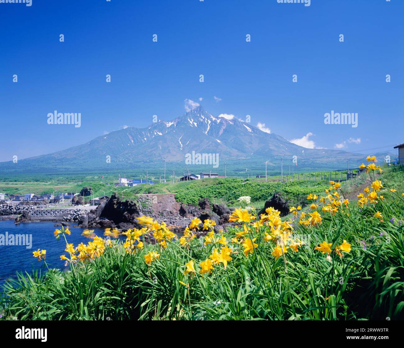 Ezo Kanzo and Mt. Rishiri from Sarobetsu plain Stock Photo - Alamy