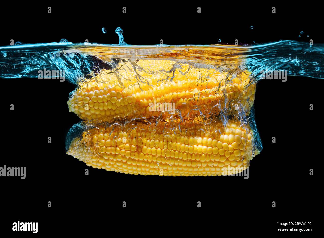 Pair of husked corn cobs thrown underwater with splashes on black Stock ...