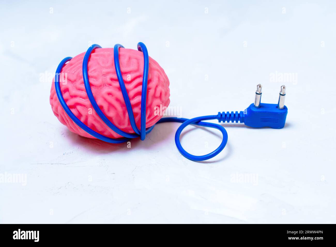 Close-up view of a human brain model wrapped with a blue power cord ...