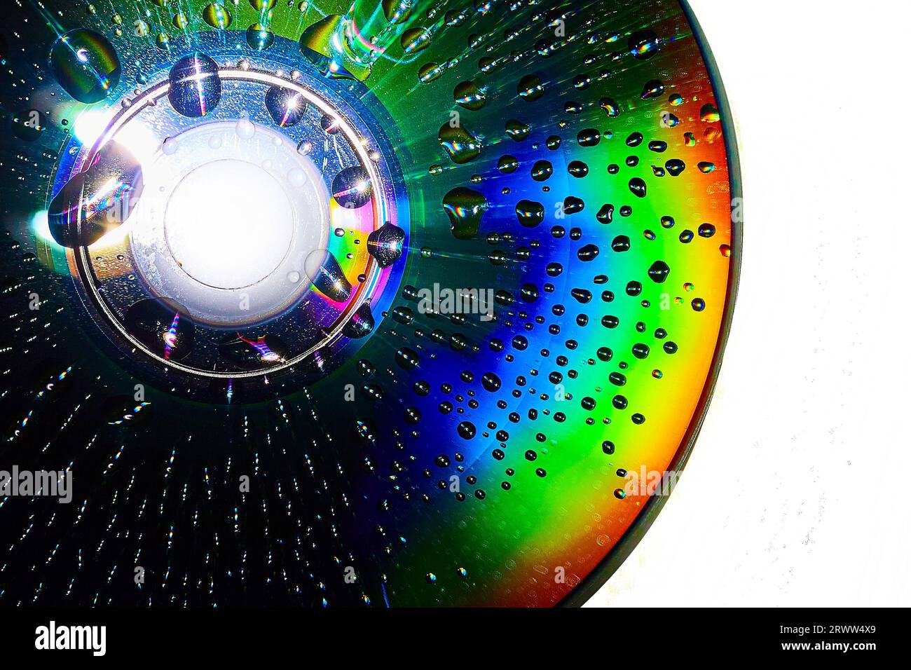 Stunning water drops on dark CD surface with white background abstract ...