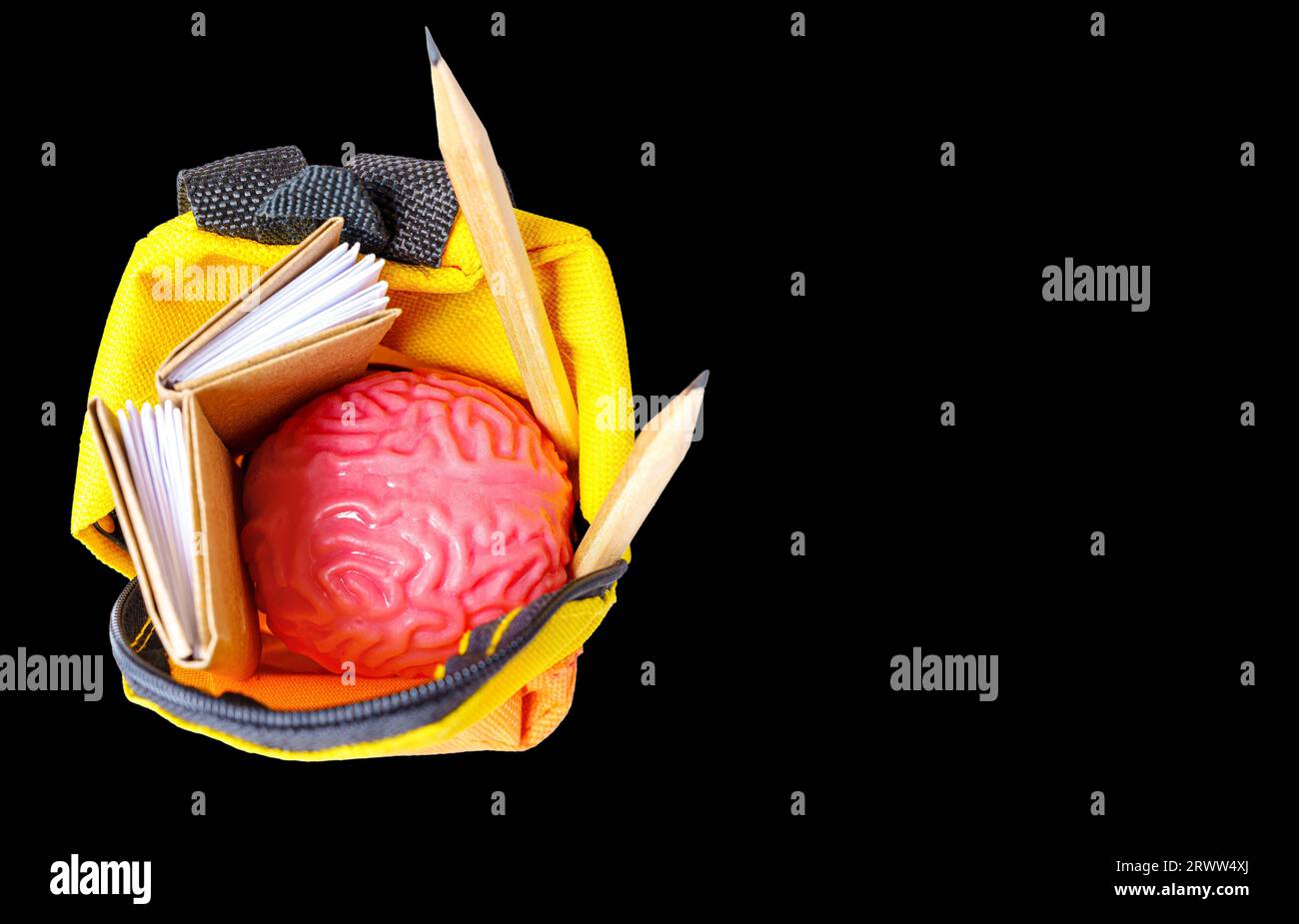 Small human brain model, books and pencils placed in a vibrant toy ...