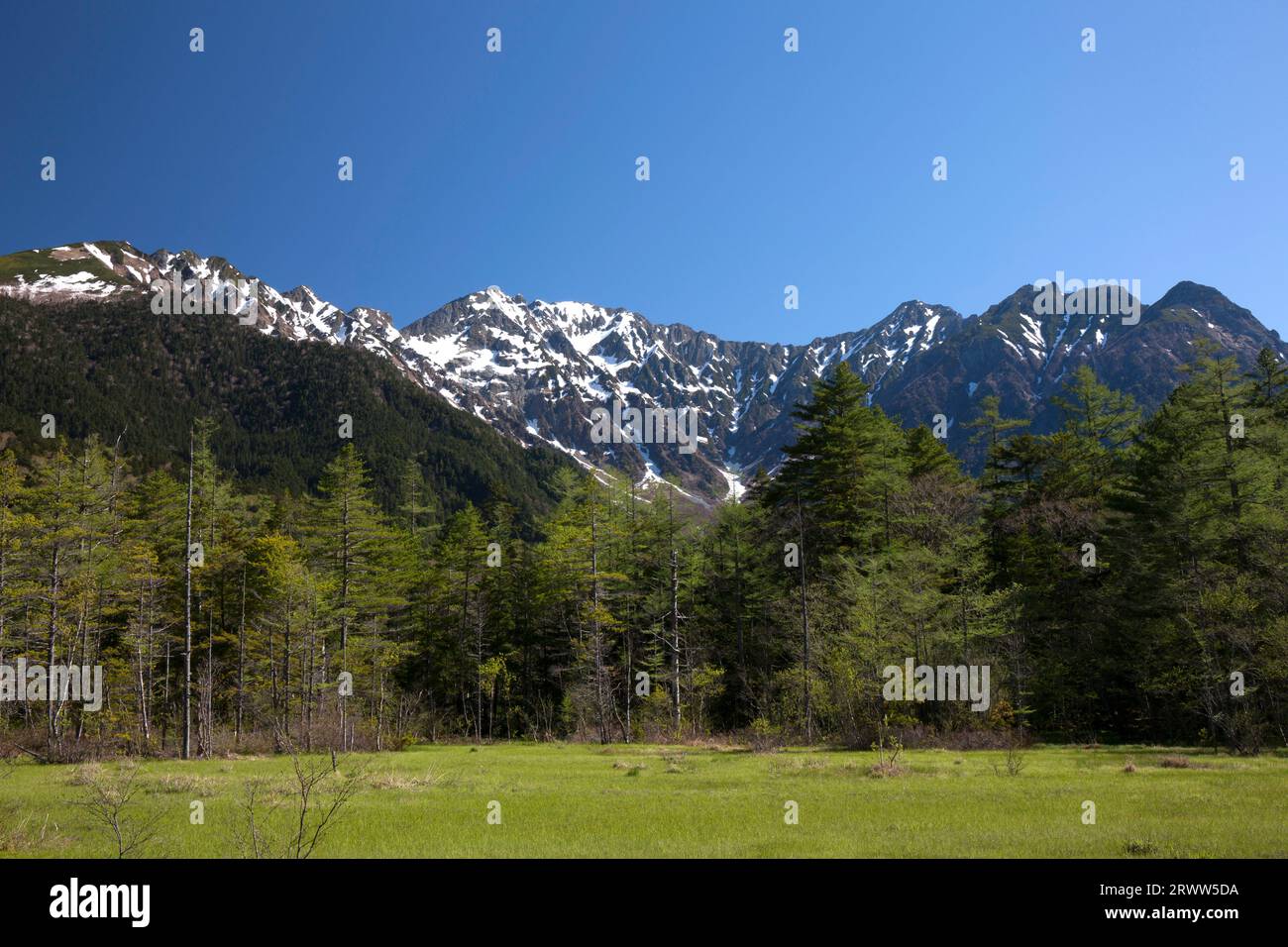Tashiro wetlands hi-res stock photography and images - Alamy