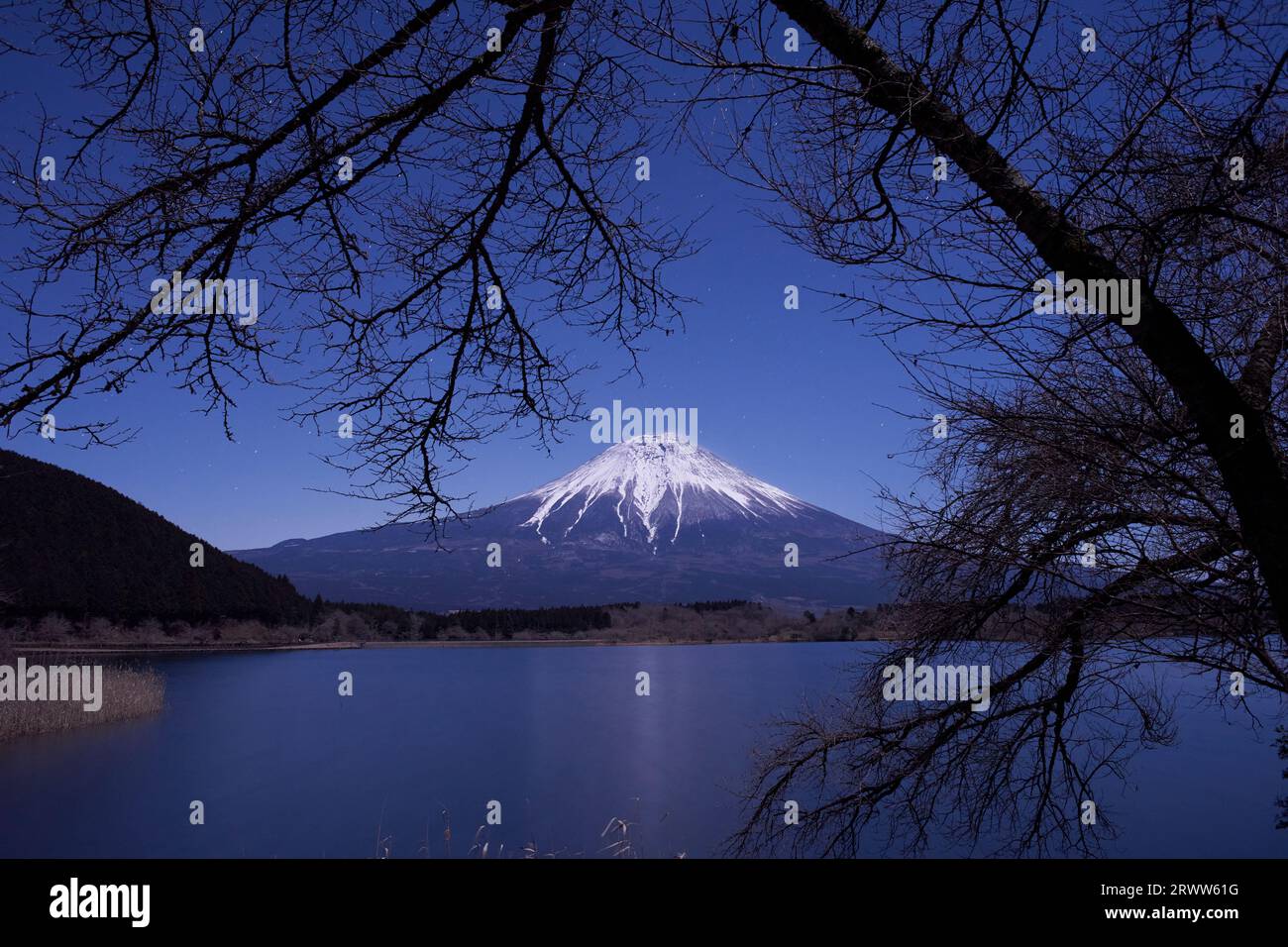 Moonlight Mt. Fuji from Lake Tanuki Stock Photo - Alamy