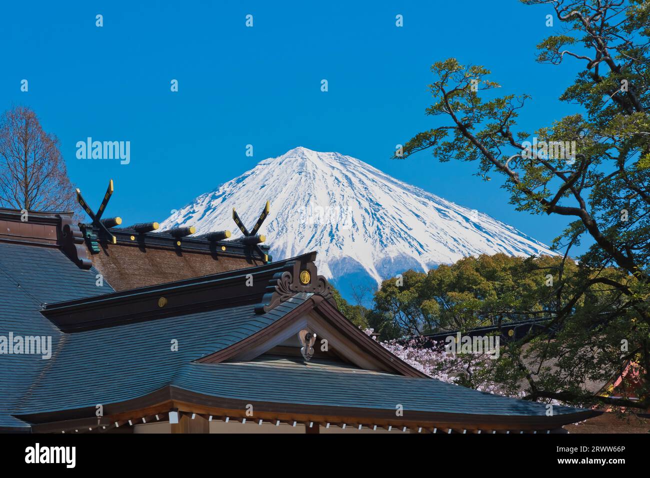 Fuji from Mt. Fuji Hongu Sengen-taisha Shrine in the blue sky Stock ...