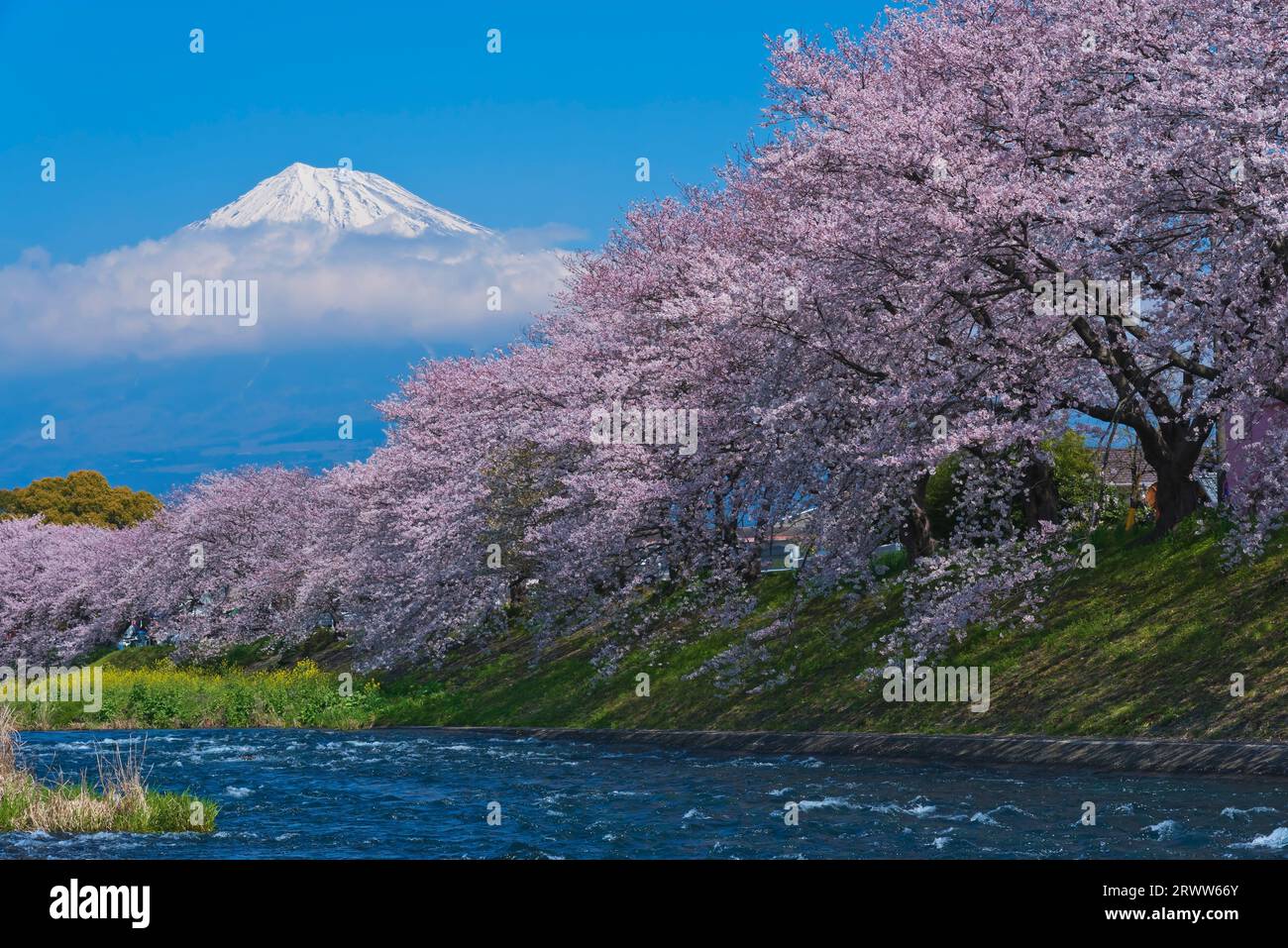 Uruigawa hi-res stock photography and images - Alamy