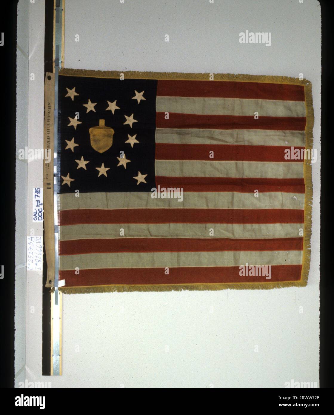 Designating flag. Headquarters, 14th Army Corps. AF*25273A. Scanned ...
