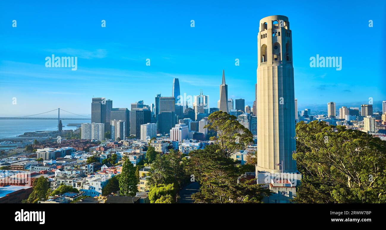 Coit Tower surrounded by trees with San Francisco downtown in ...