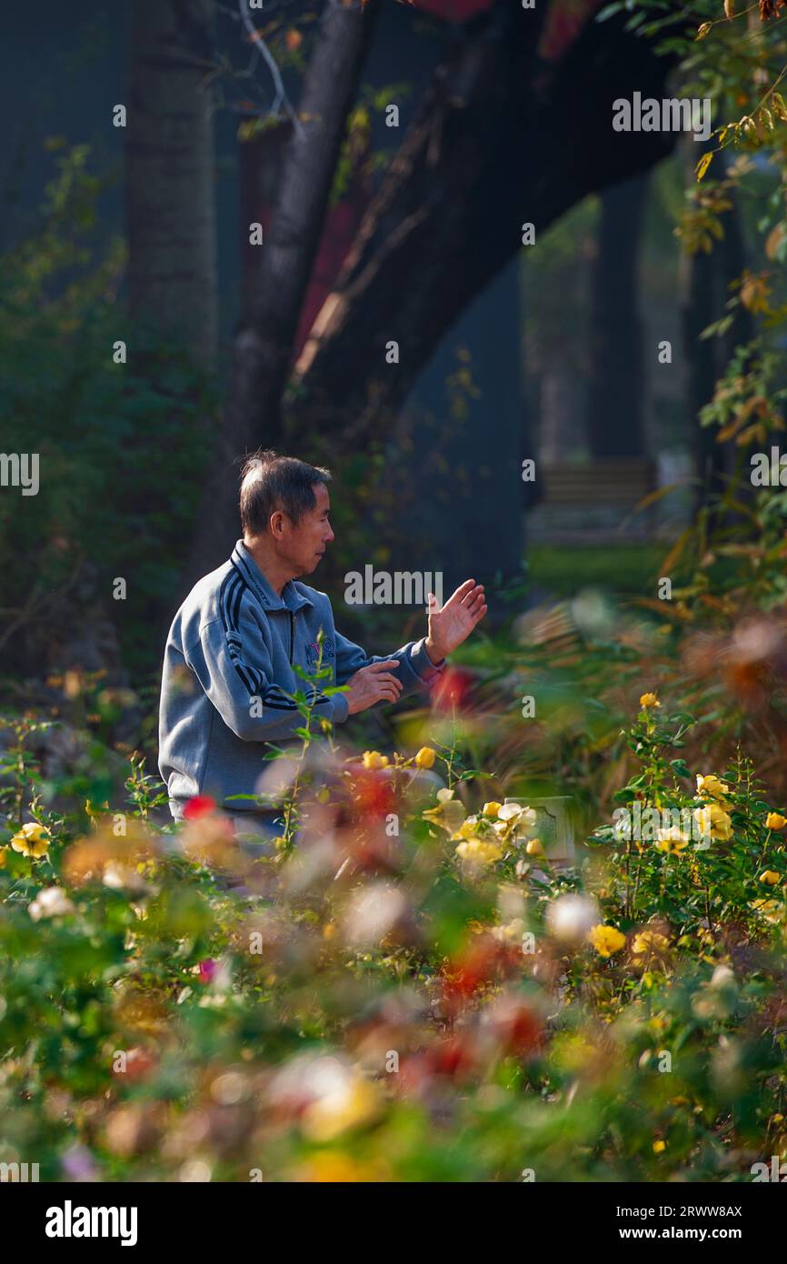 Engaged mind hi-res stock photography and images - Alamy