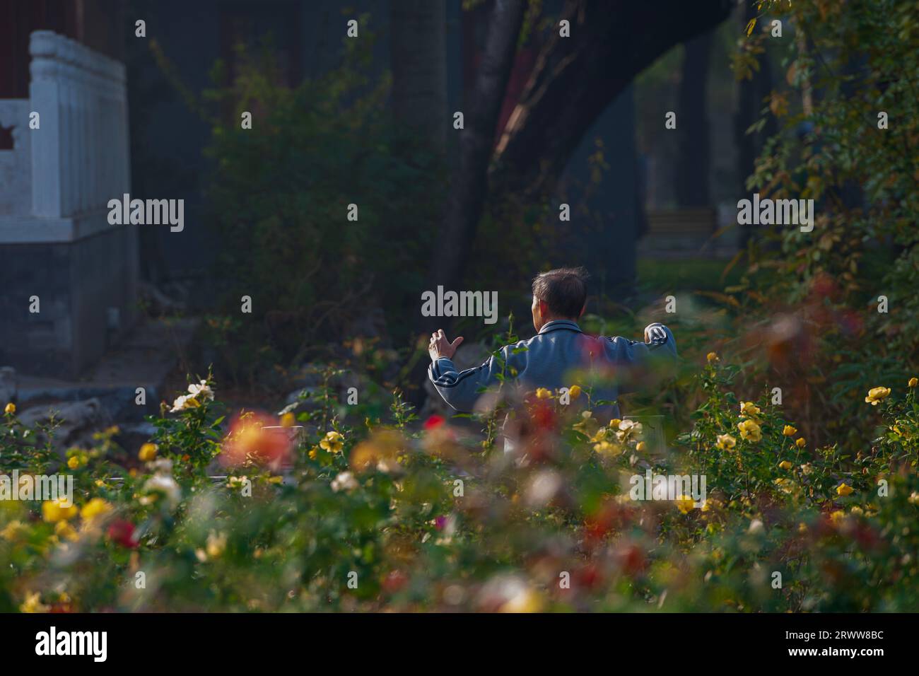 Engaged mind hi-res stock photography and images - Alamy