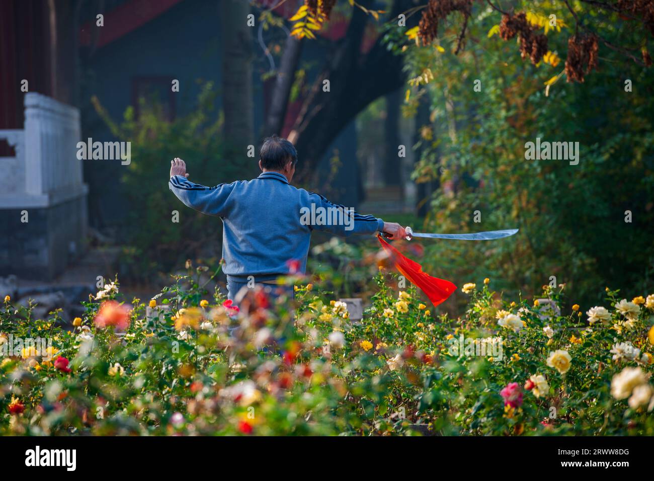 Engaged mind hi-res stock photography and images - Alamy