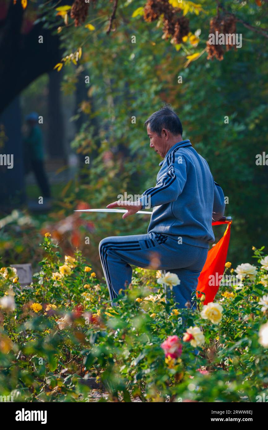 Engaged mind hi-res stock photography and images - Alamy