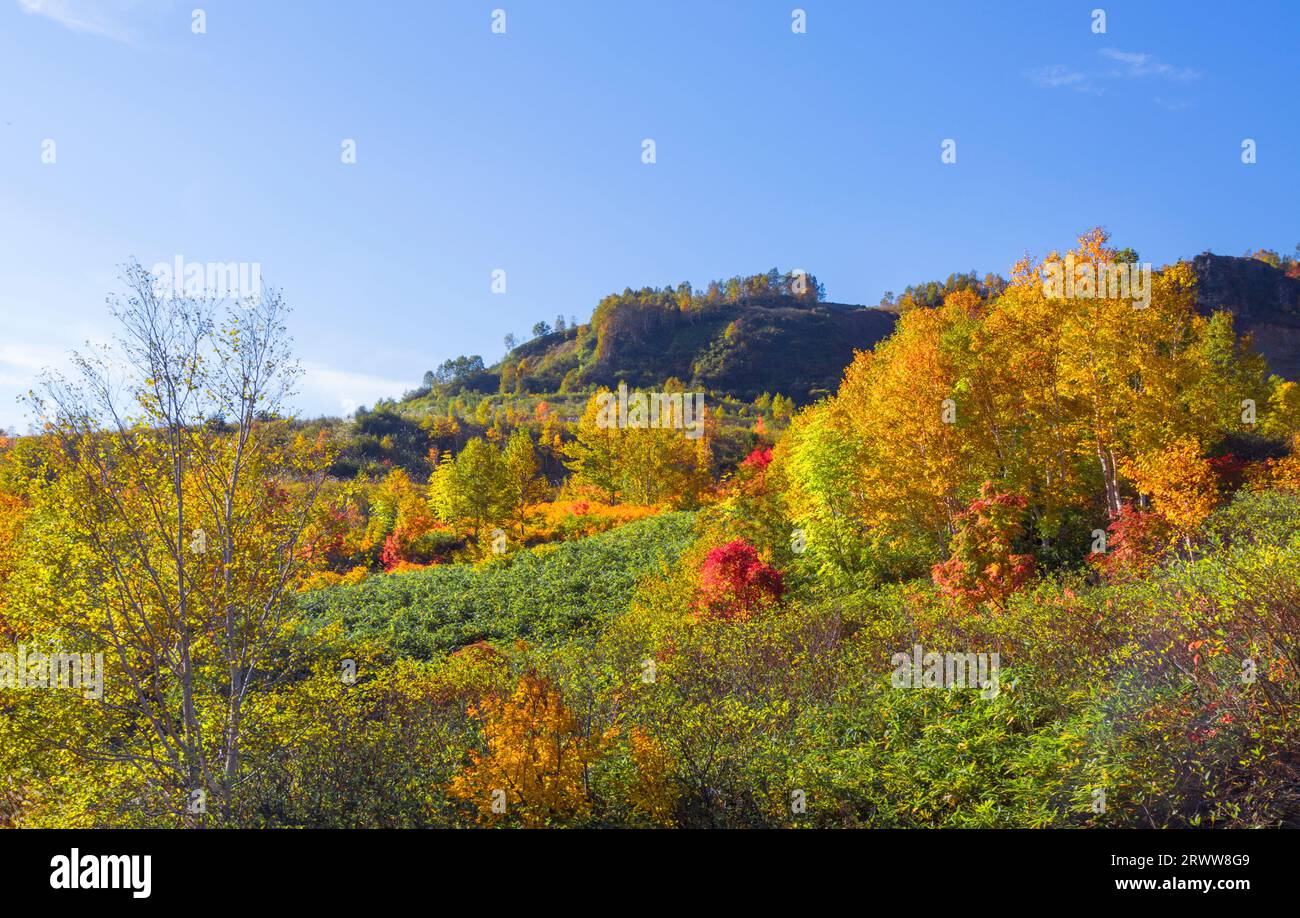 Hachimantai in Primary Colors with Autumn Leaves and Blue Sky Stock ...