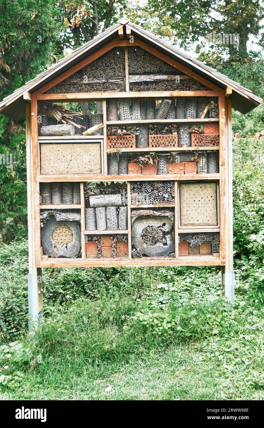 Objects insects hi-res stock photography and images - Alamy