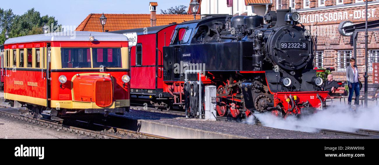 21 September 2023, Mecklenburg-Western Pomerania, Kühlungsborn: The ...