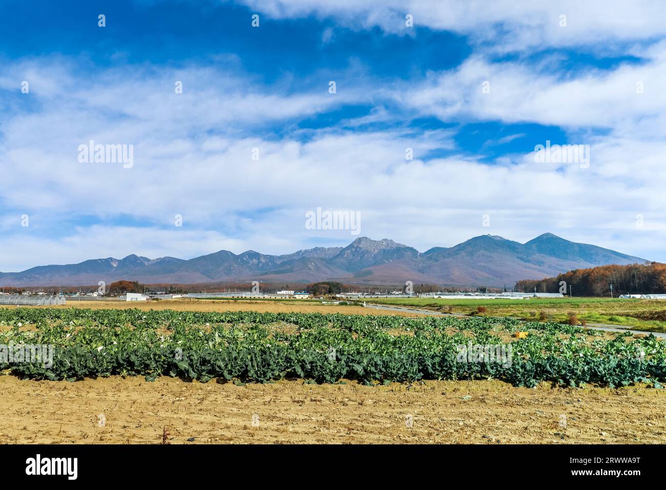View of the Yatsugatake mountain range from the field area Stock Photo ...