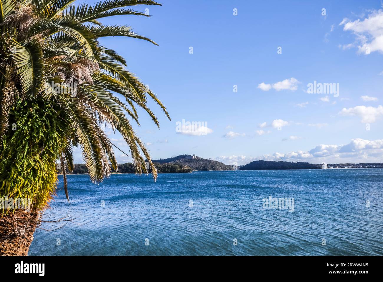 Scenery of Lake Hamana seen through palm trees Stock Photo - Alamy