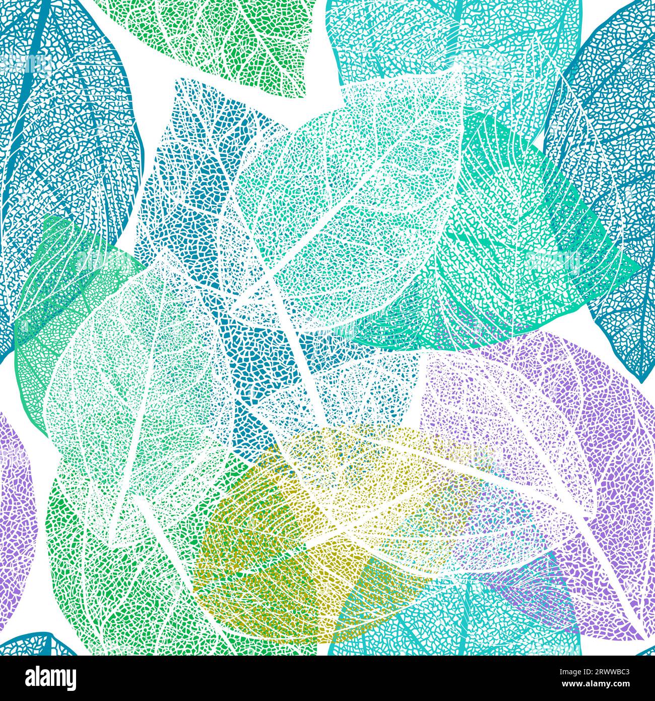 Skeletonized leaves hi-res stock photography and images - Alamy