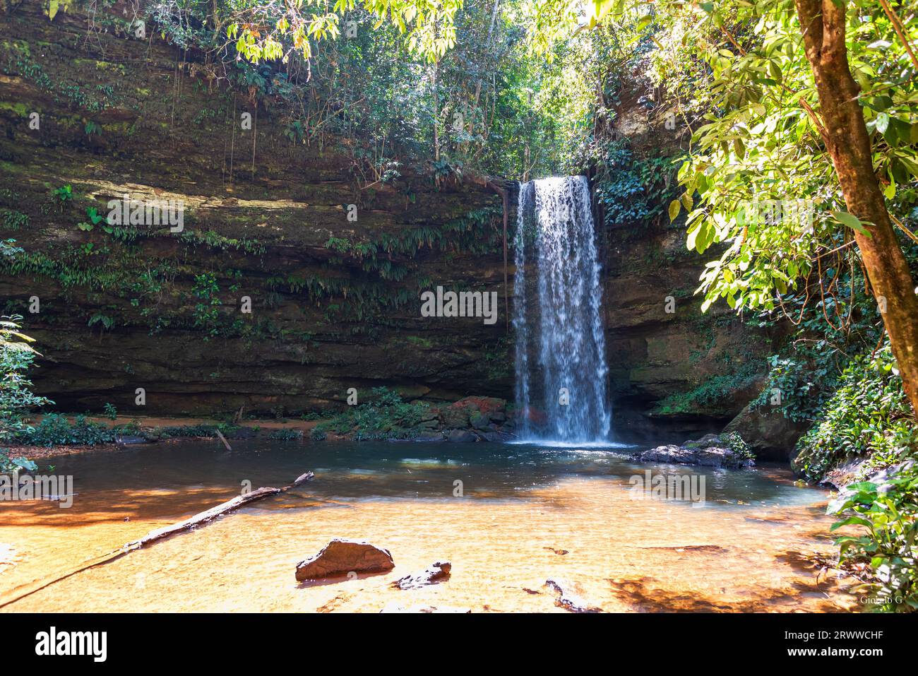 Natural cascade falling into a creek in the countryside of Brazil Stock ...
