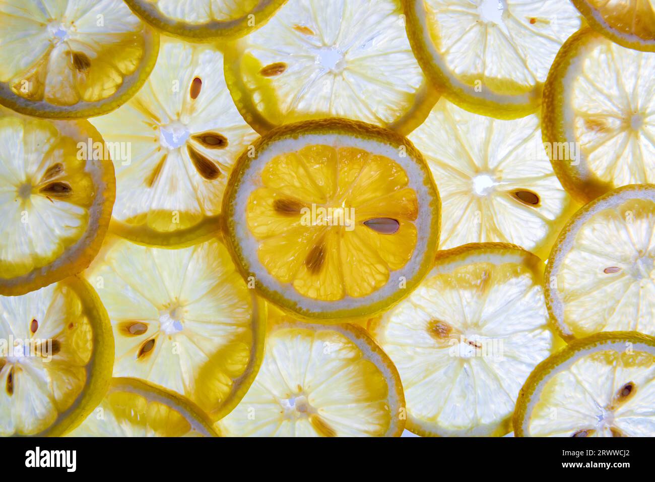 Pile of overlapping yellow lemon slices created wall of lemons in background asset Stock Photo ...