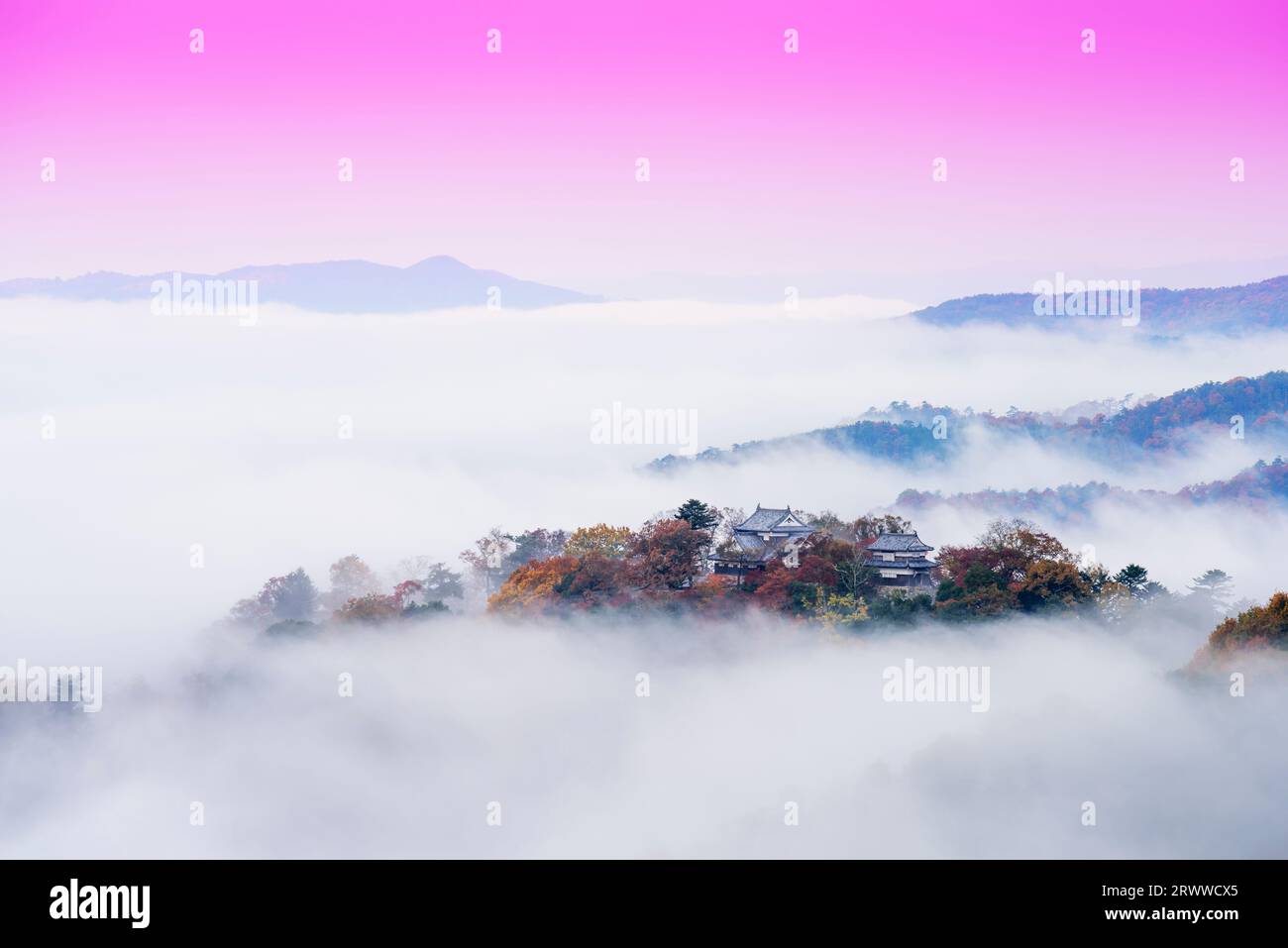 Bicchu Matsuyama Castle and Sea of Clouds Stock Photo - Alamy