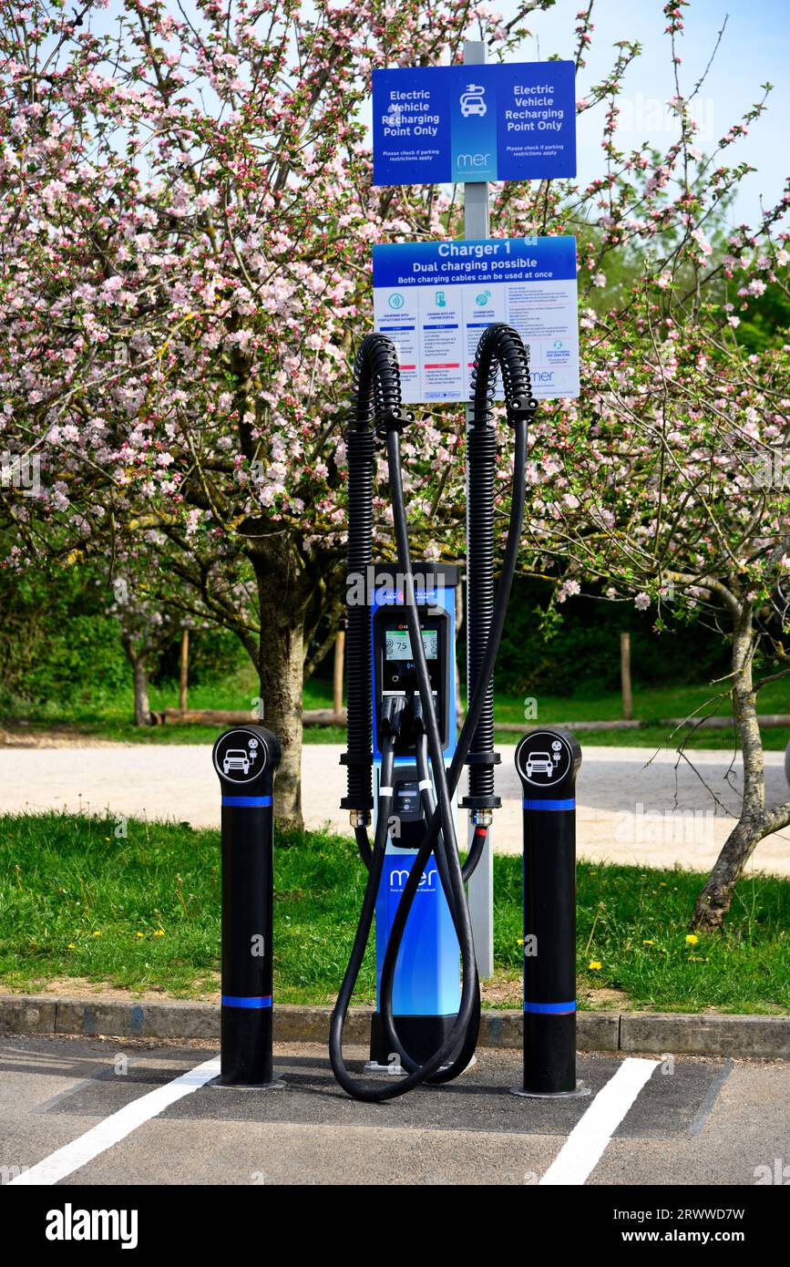 Electric vehicles ev hi-res stock photography and images - Alamy