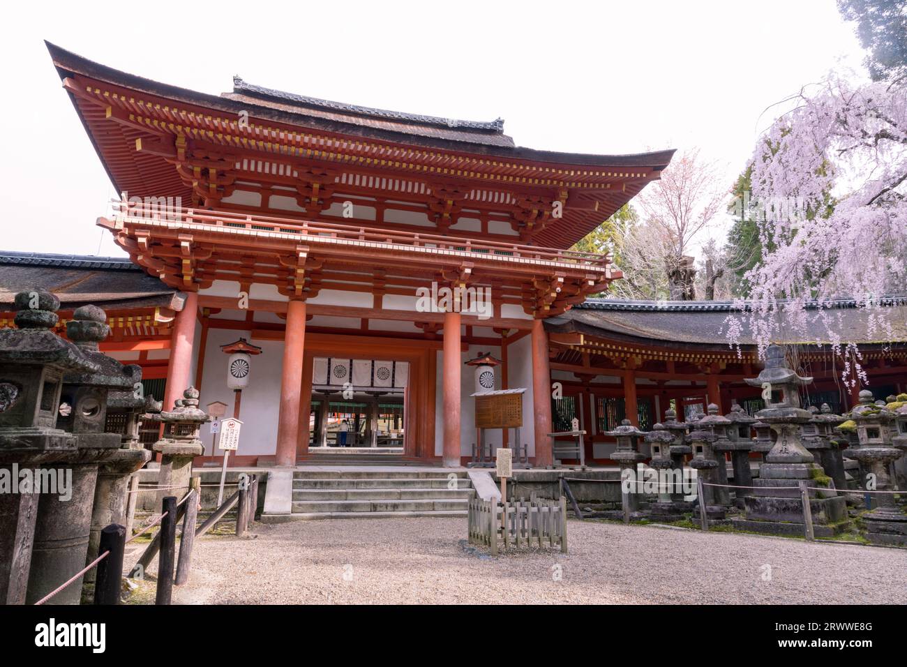 Kasuga 2 hi-res stock photography and images - Alamy