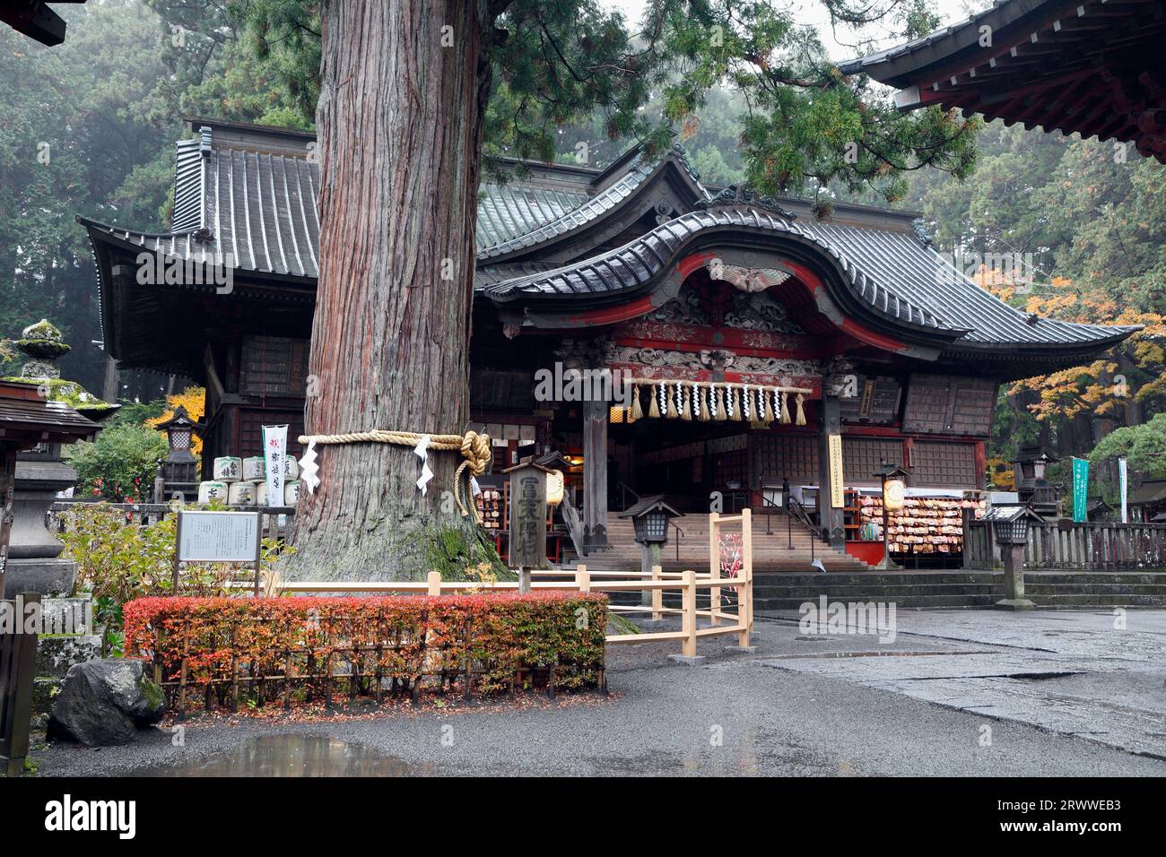 Late November Autumn, Kitaguchi Hongu Sengen Shrine -A Mt. Fuji World ...