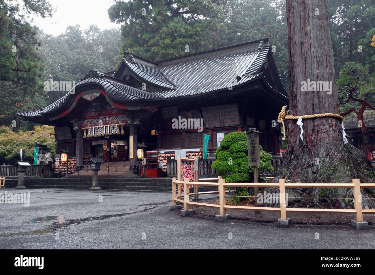 Late November Autumn, Kitaguchi Hongu Sengen Shrine -A Mt. Fuji World ...