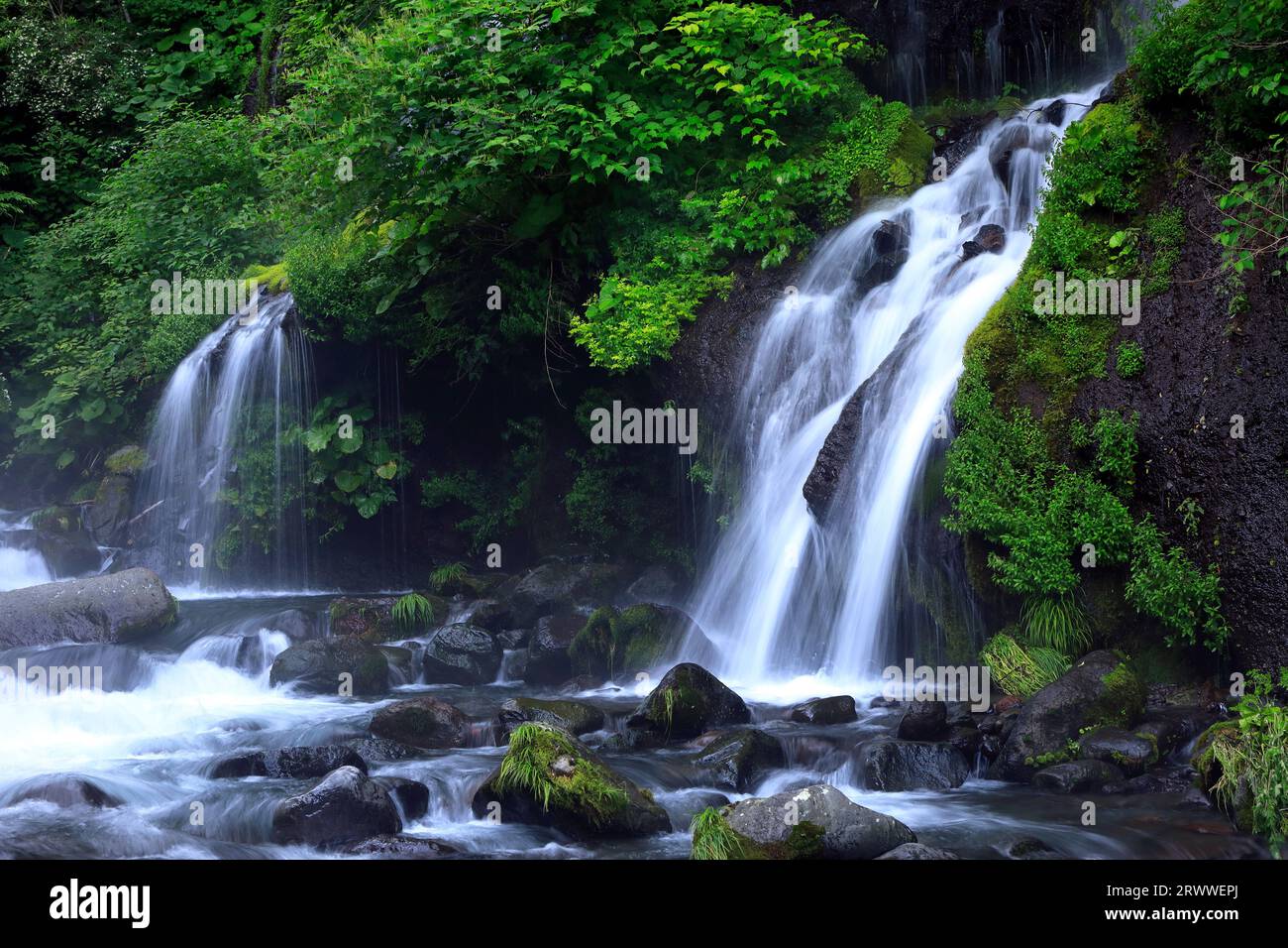 July - the waterfalls of the summer Stock Photo - Alamy