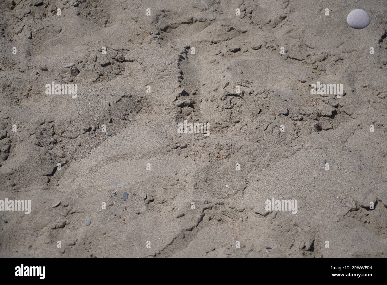 Detail of fine sand on a sea beach Stock Photo - Alamy