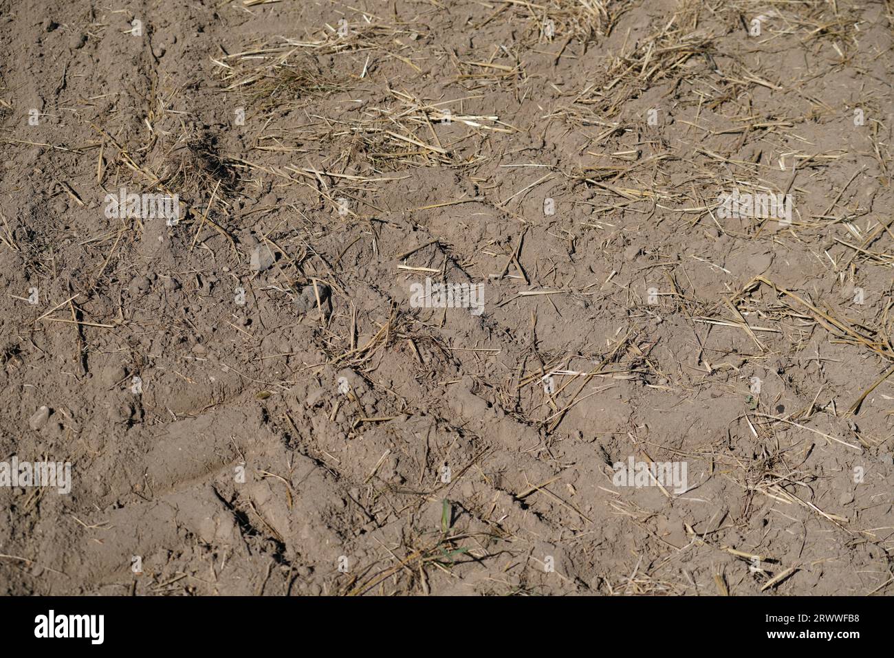 Soil from the quarry as a waste product and for versatile use in the ...