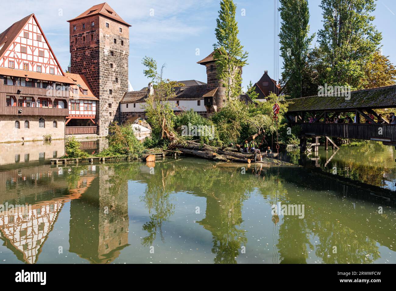 Nuremberg, Germany. 21st Sep, 2023. Employees of Nuremberg Tree Care ...