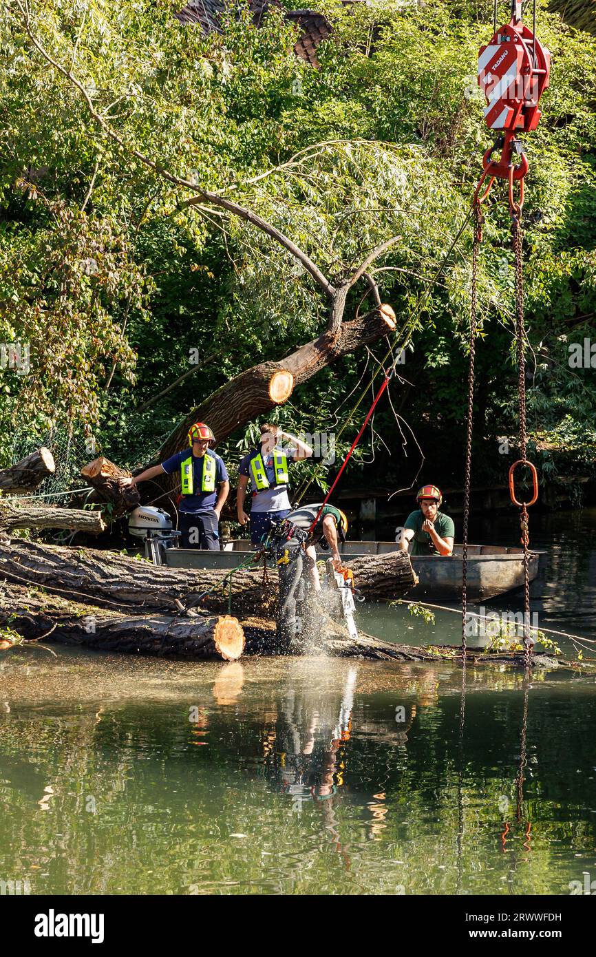 Nuremberg, Germany. 21st Sep, 2023. Employees of Nuremberg Tree Care ...