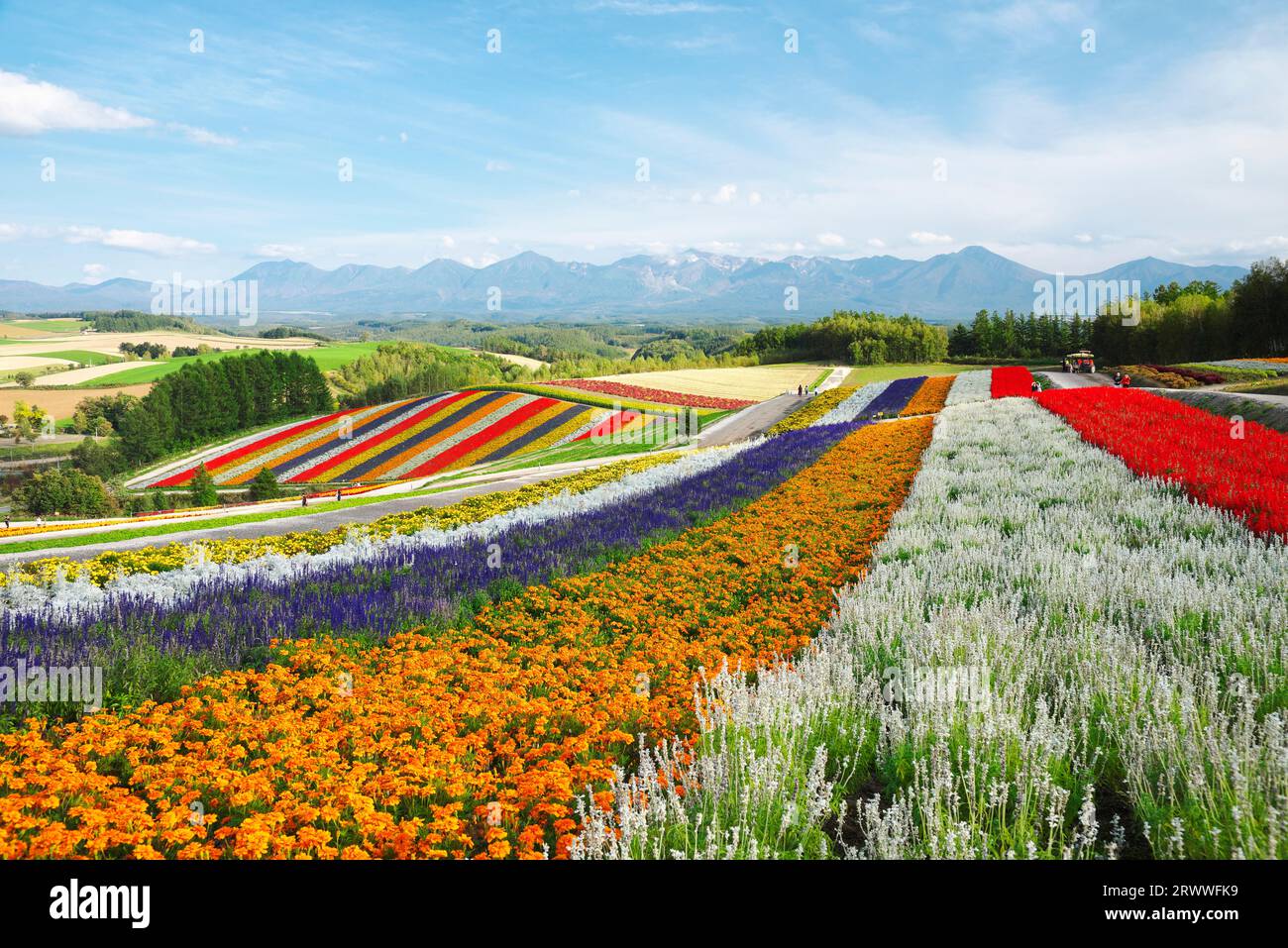 Shikisai no Oka and Tokachidake Mountain Range in Autumn Stock Photo ...