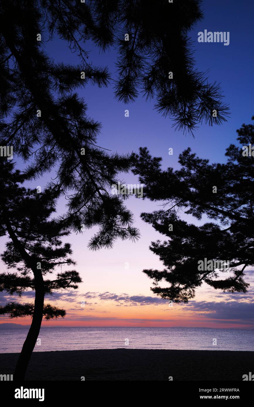 Sumoto park hi-res stock photography and images - Alamy