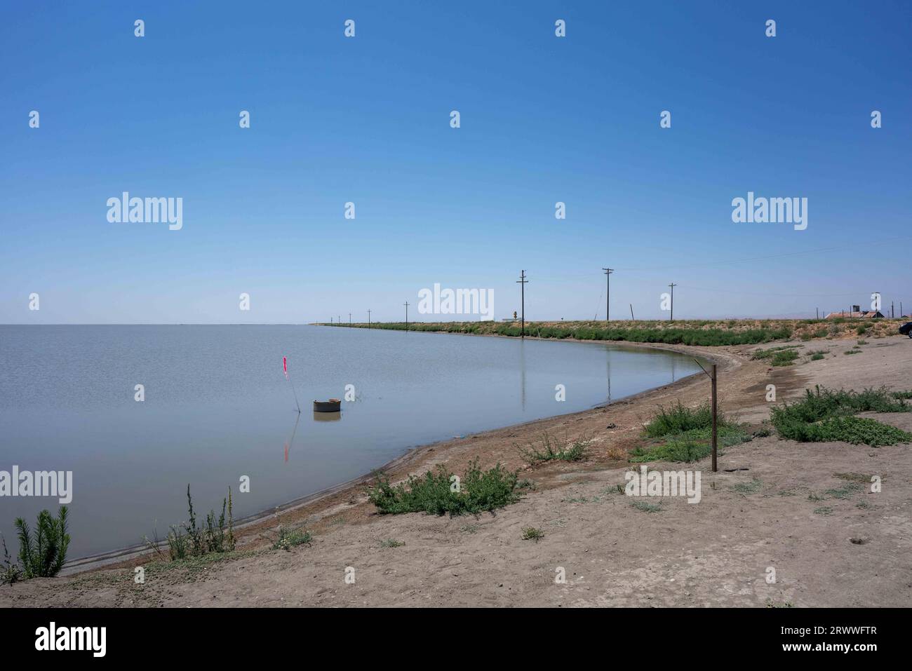 Stratford, USA. 25th June, 2023. Tulare Lake is a resurrected body of ...