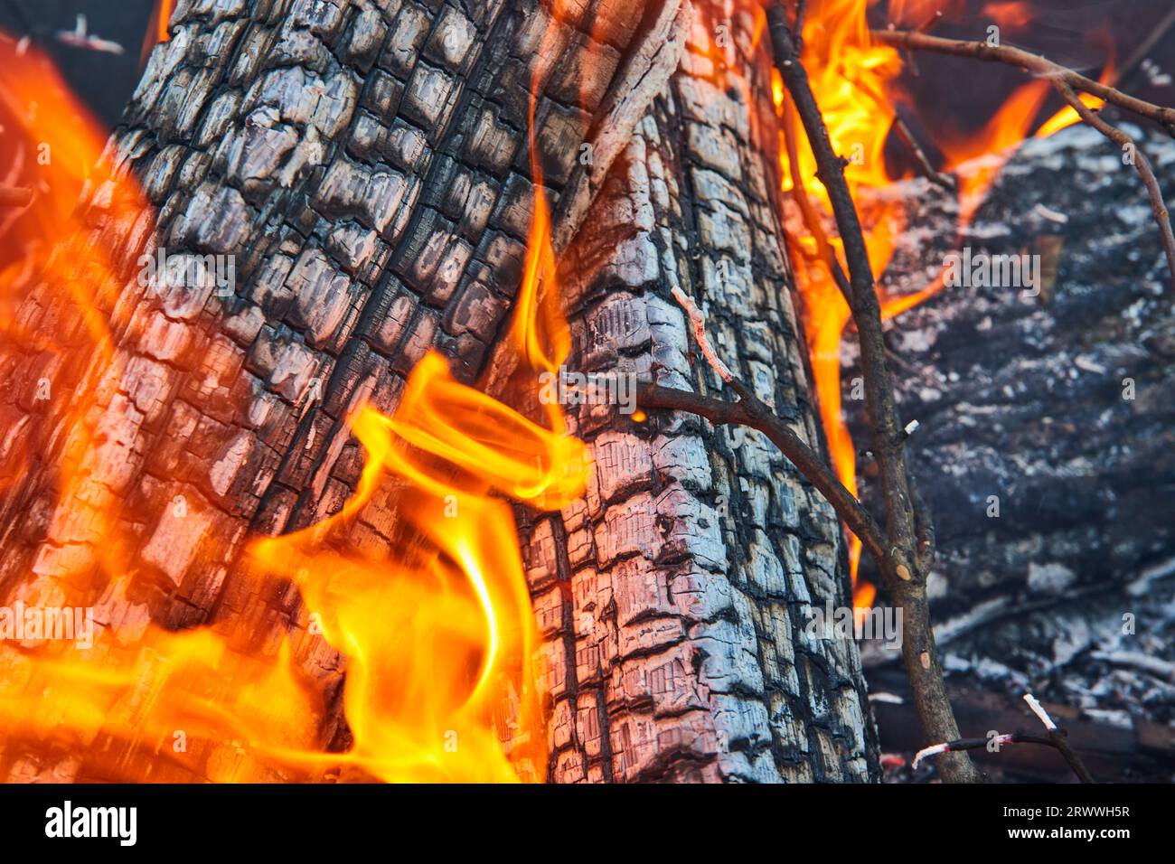 Close up background asset orange and yellow flames lapping against two ...