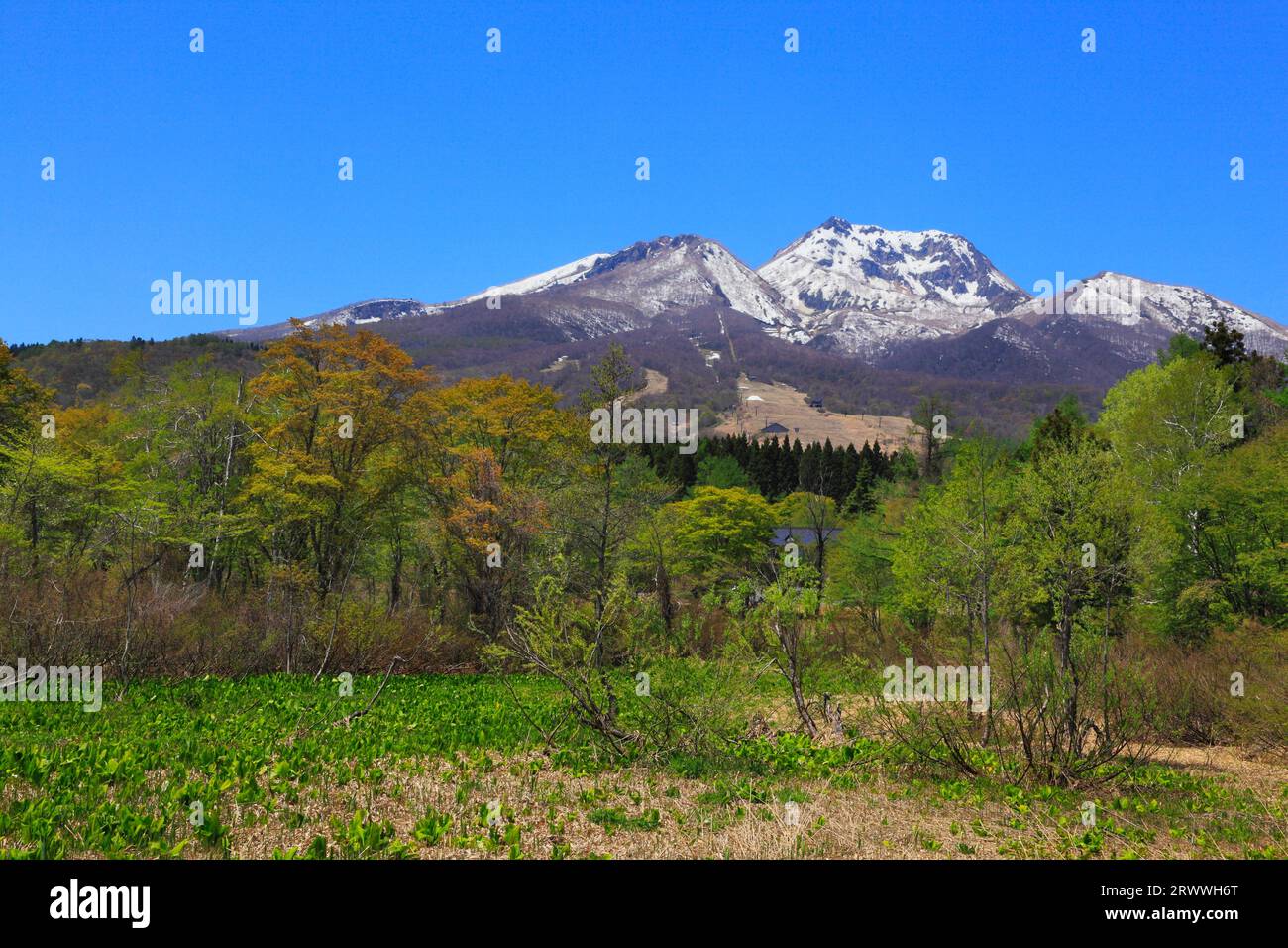 Mt. Myoko seen from Imori Pond in Myoko Plateau Stock Photo - Alamy