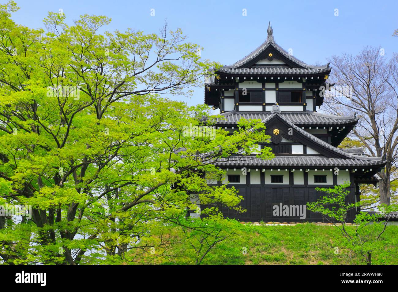 Takada Park and the three-story turret of Takada Castle Stock Photo - Alamy