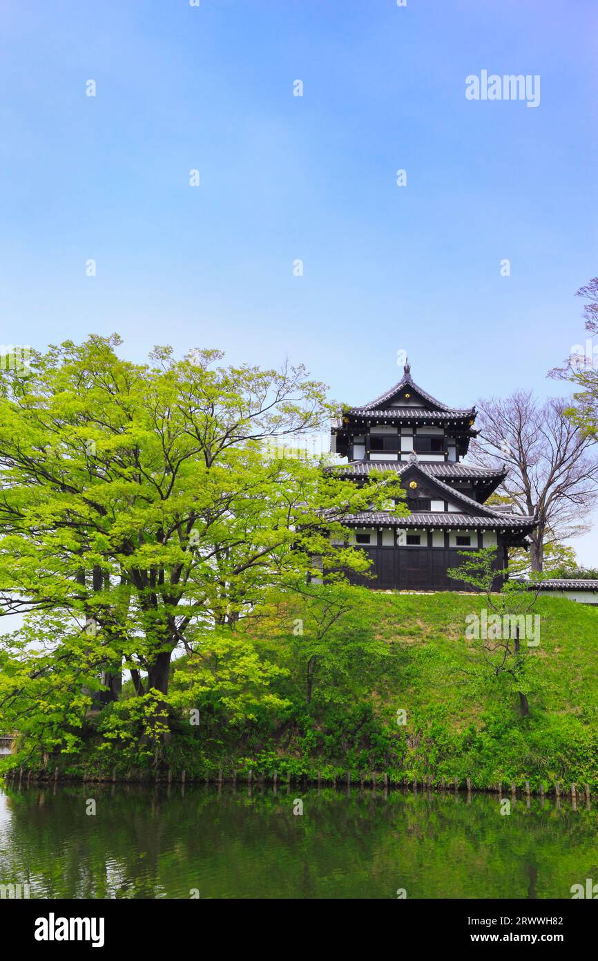 Takada Park and the three-story turret of Takada Castle Stock Photo - Alamy