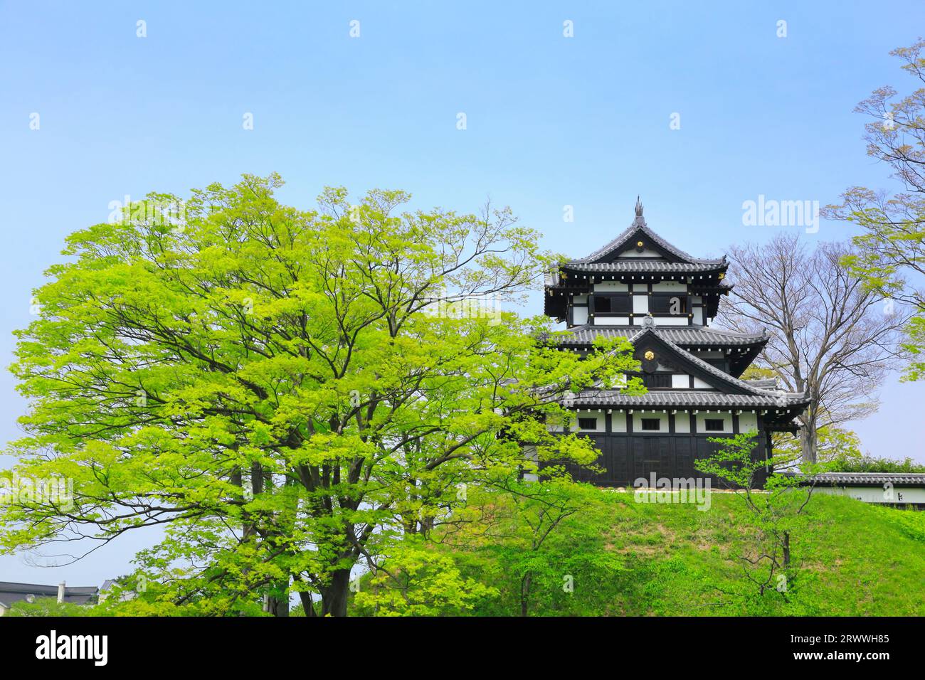 Takadajyo castle hi-res stock photography and images - Alamy