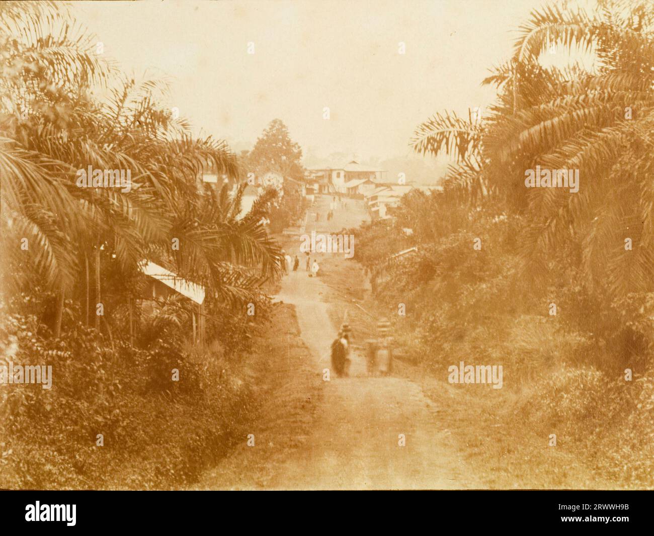 View up a tree-lined road on the approach to Nsawam. There are several ...