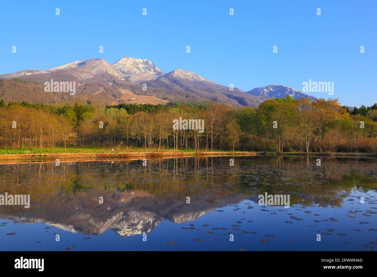 Mt. Myoko at morning glow seen from Imori-ike Pond in Myoko Plateau ...