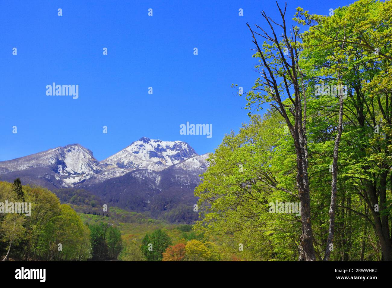 Akakura japan hi-res stock photography and images - Alamy