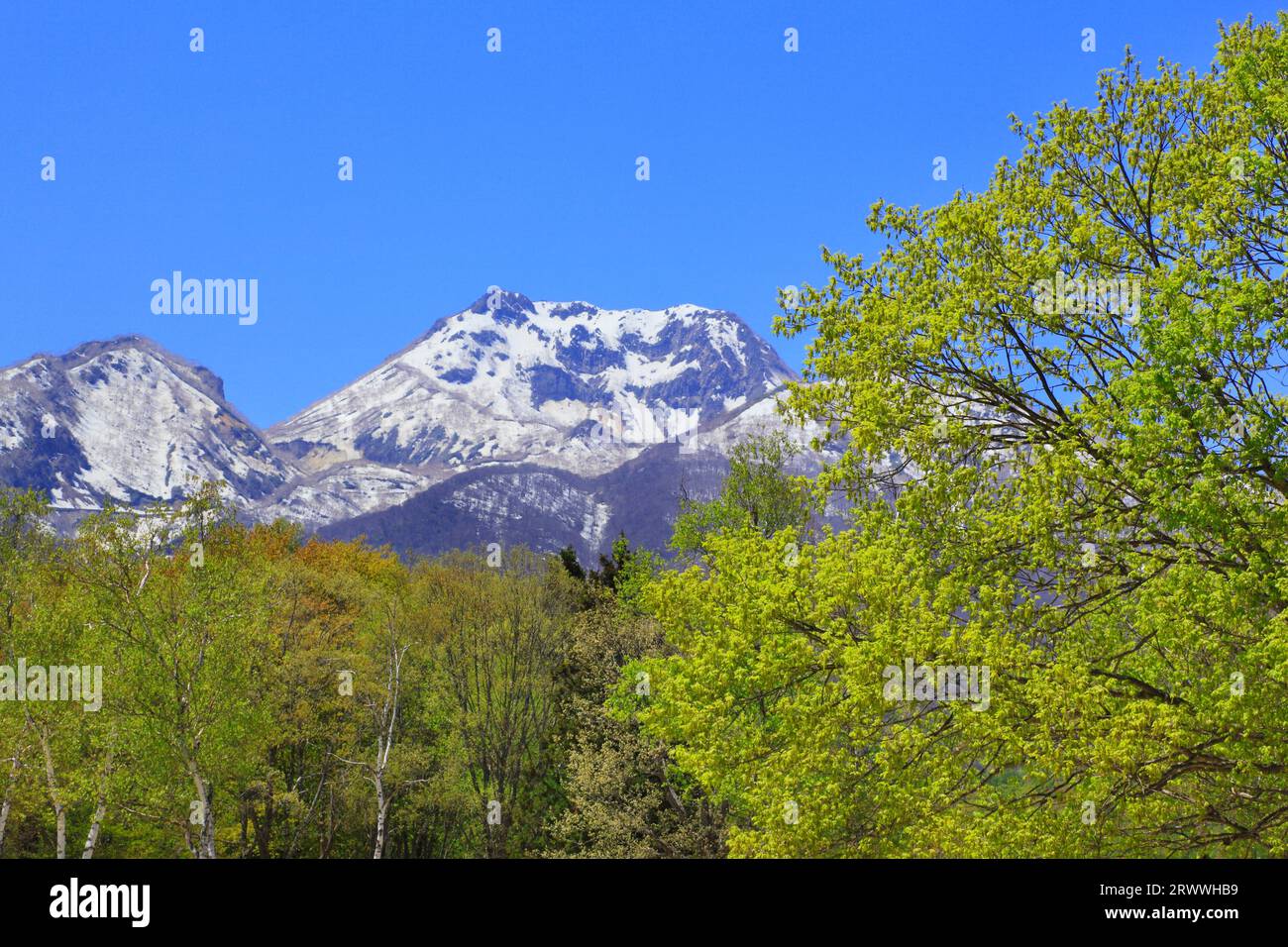Mt. Myoko seen from Akakura in the Myoko Plateau Stock Photo - Alamy