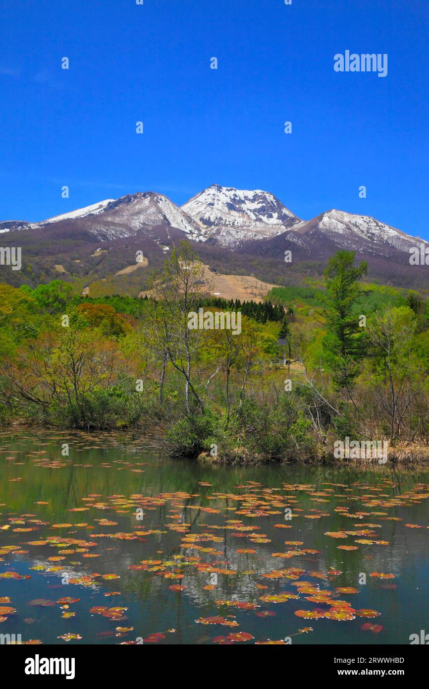 Mt. Myoko seen from Imori Pond in Myoko Plateau Stock Photo - Alamy