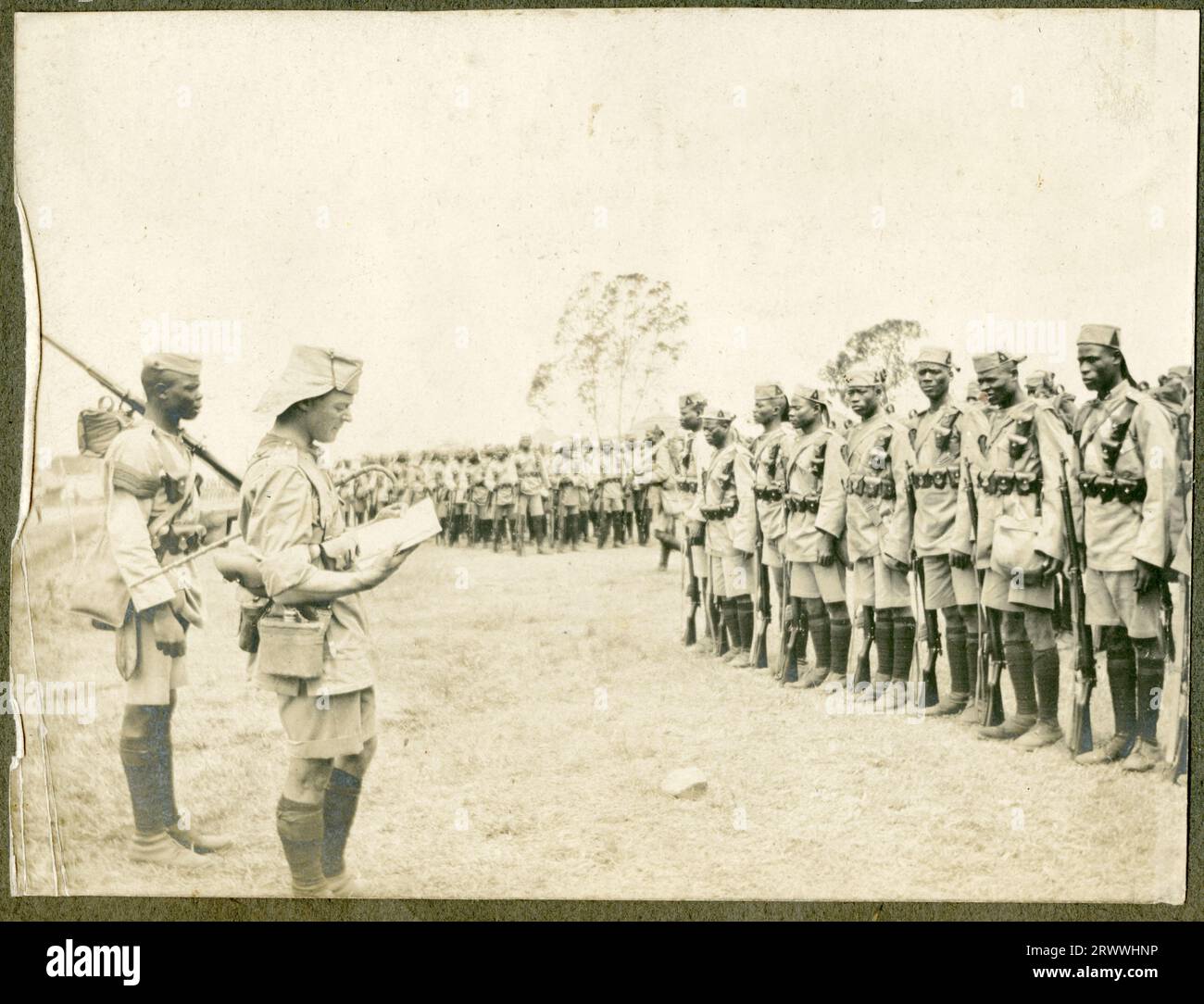 African bush guns hi-res stock photography and images - Alamy